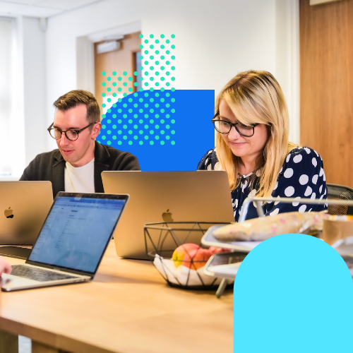 About Us | hedgehog lab