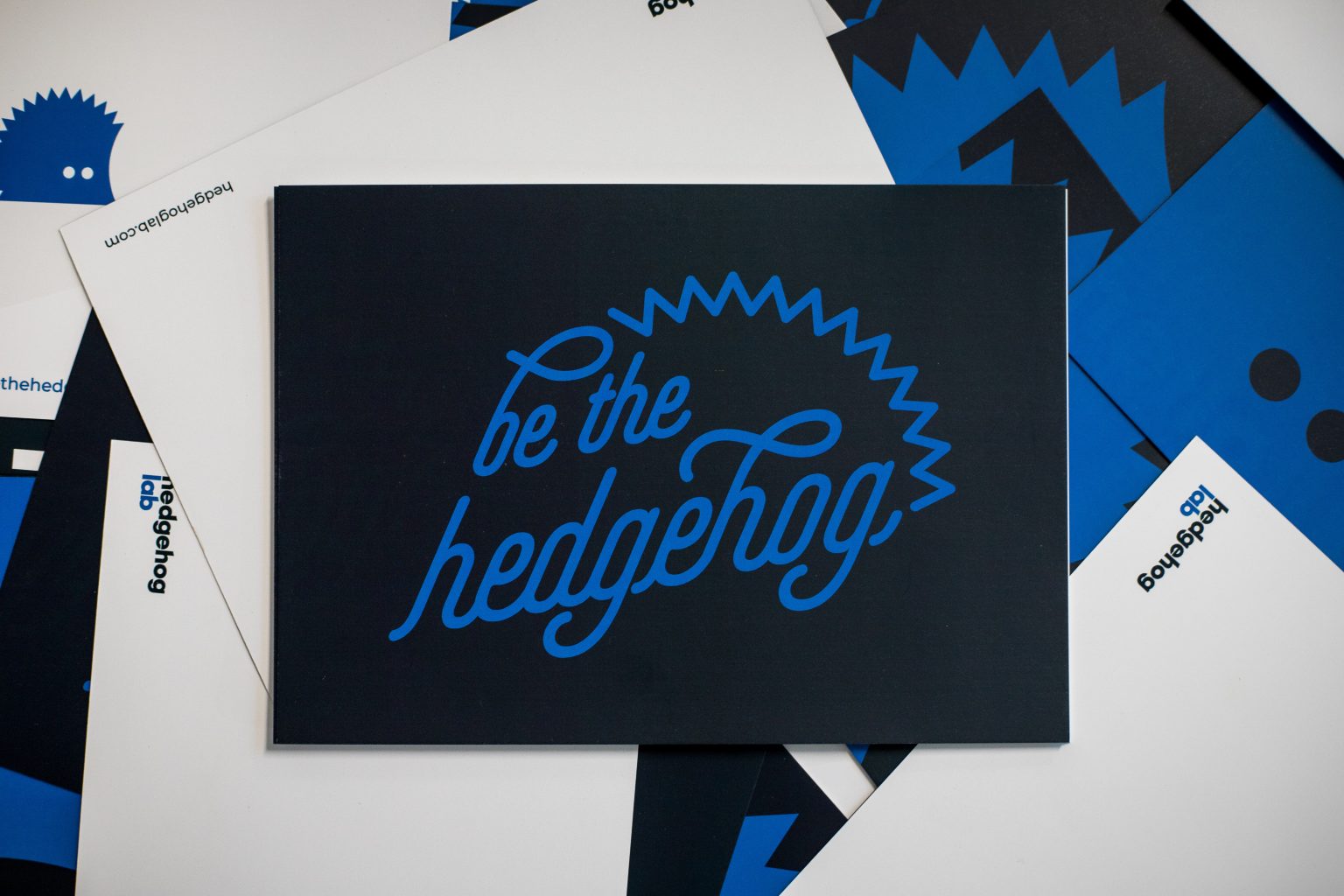 Who we are | hedgehog lab